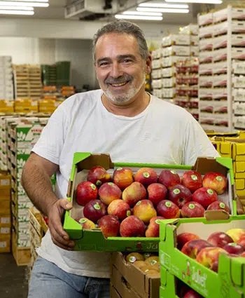 La filière des fruits et légumes en chiffres