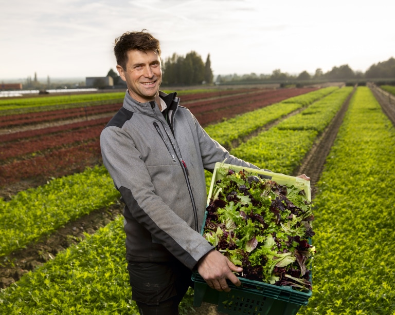 La filière des fruits et légumes en chiffres