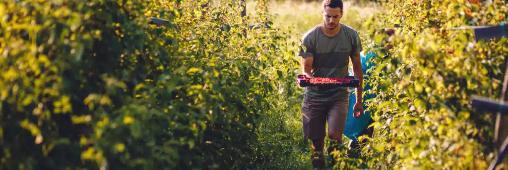 Logos de France Archive - Interfel