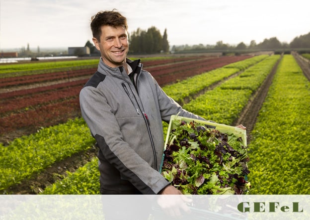 GEFEL représente les associations d’organisation de producteurs - Interfel