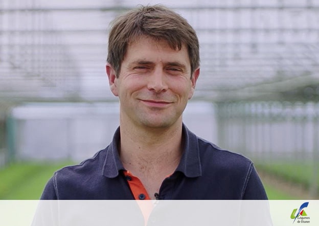 Légumes de France - Interfel