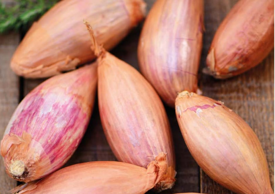 Un guide professionnel sur l'échalote - Interfel