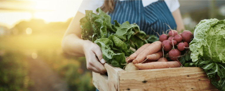 Logos de France Archive - Interfel