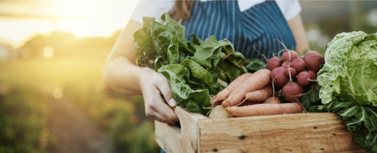 Logos de France Archive - Interfel