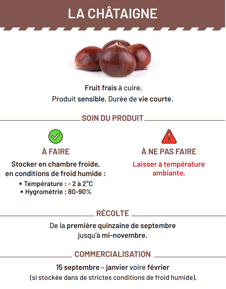 Le guide professionnel de la châtaigne - Interfel