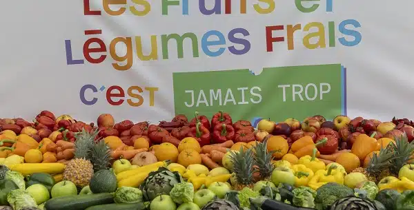 Actualités Campagne - Interfel