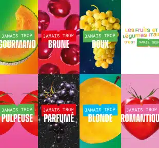 Logos de France Archive - Interfel