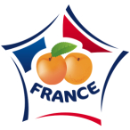 Logos de France Archive - Interfel